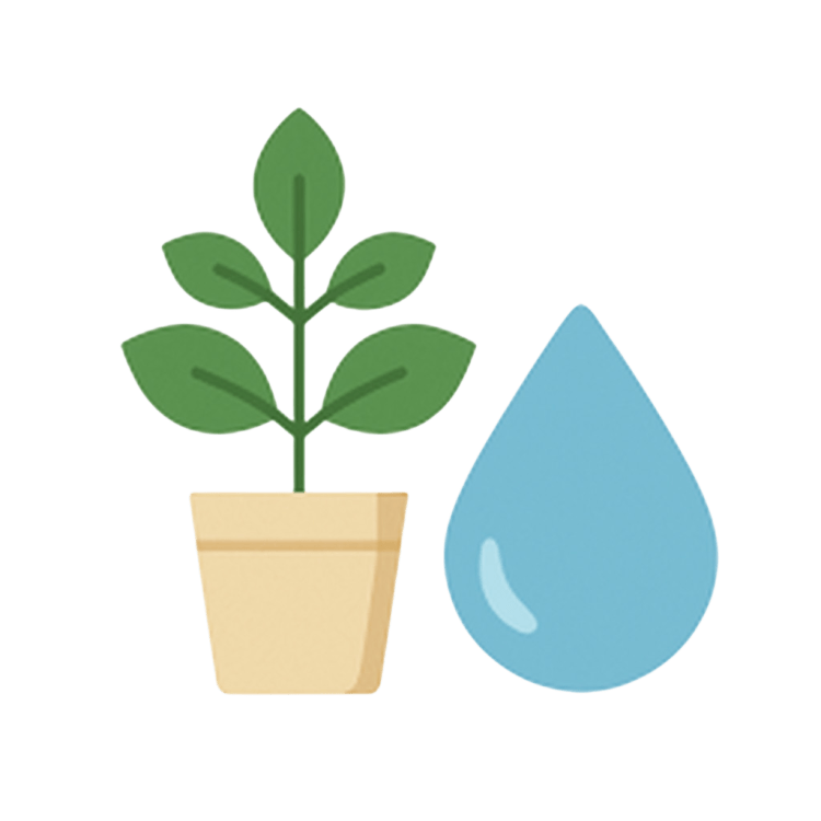 Salvia ballotiflora – Abejedario